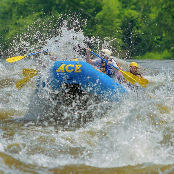 Full Day Whitewater Rafting Trip - Lower New River Gorge | ACE Adventure