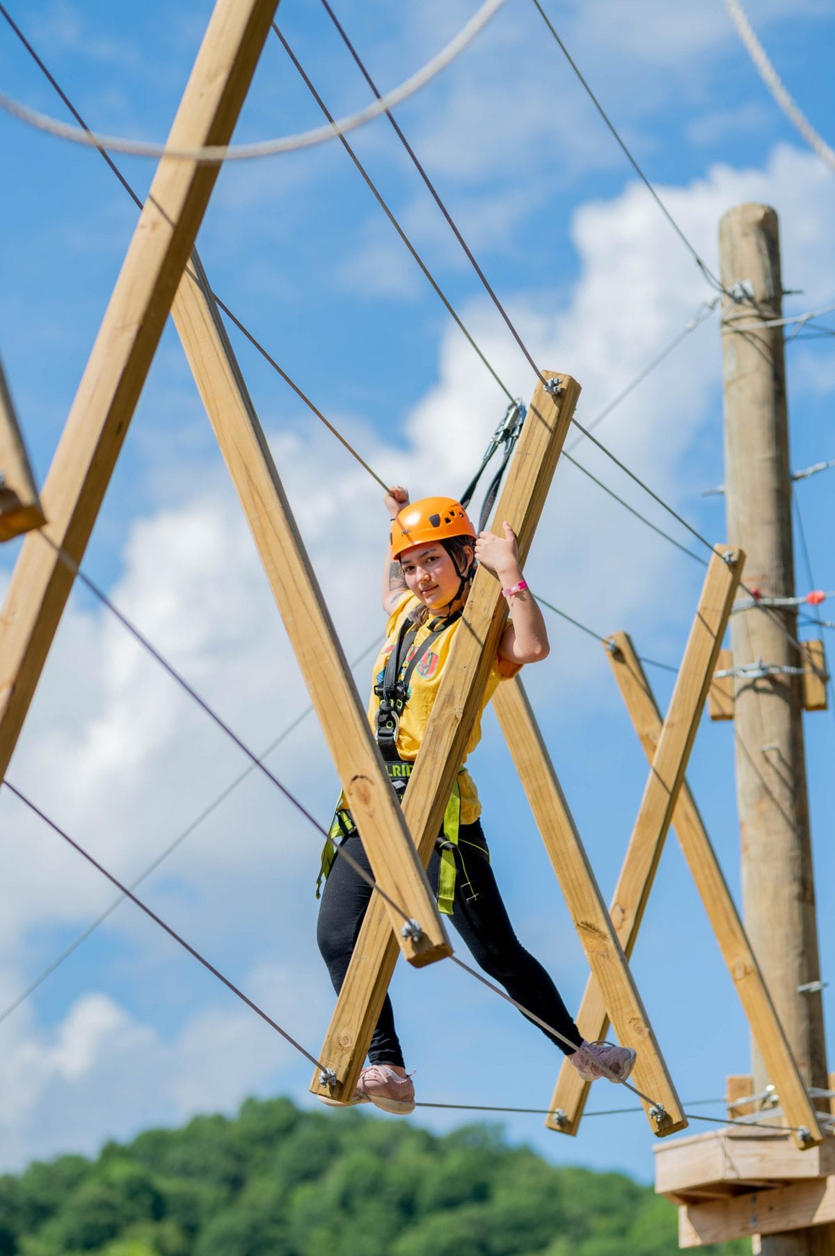 Aerial Adventure Park - ACE Adventure Resort