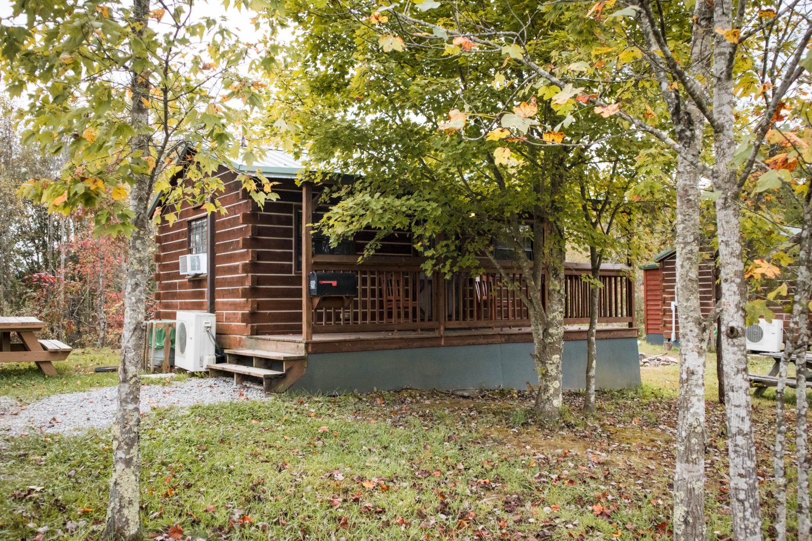 Cedar Cabin 788 - ACE Adventure Resort