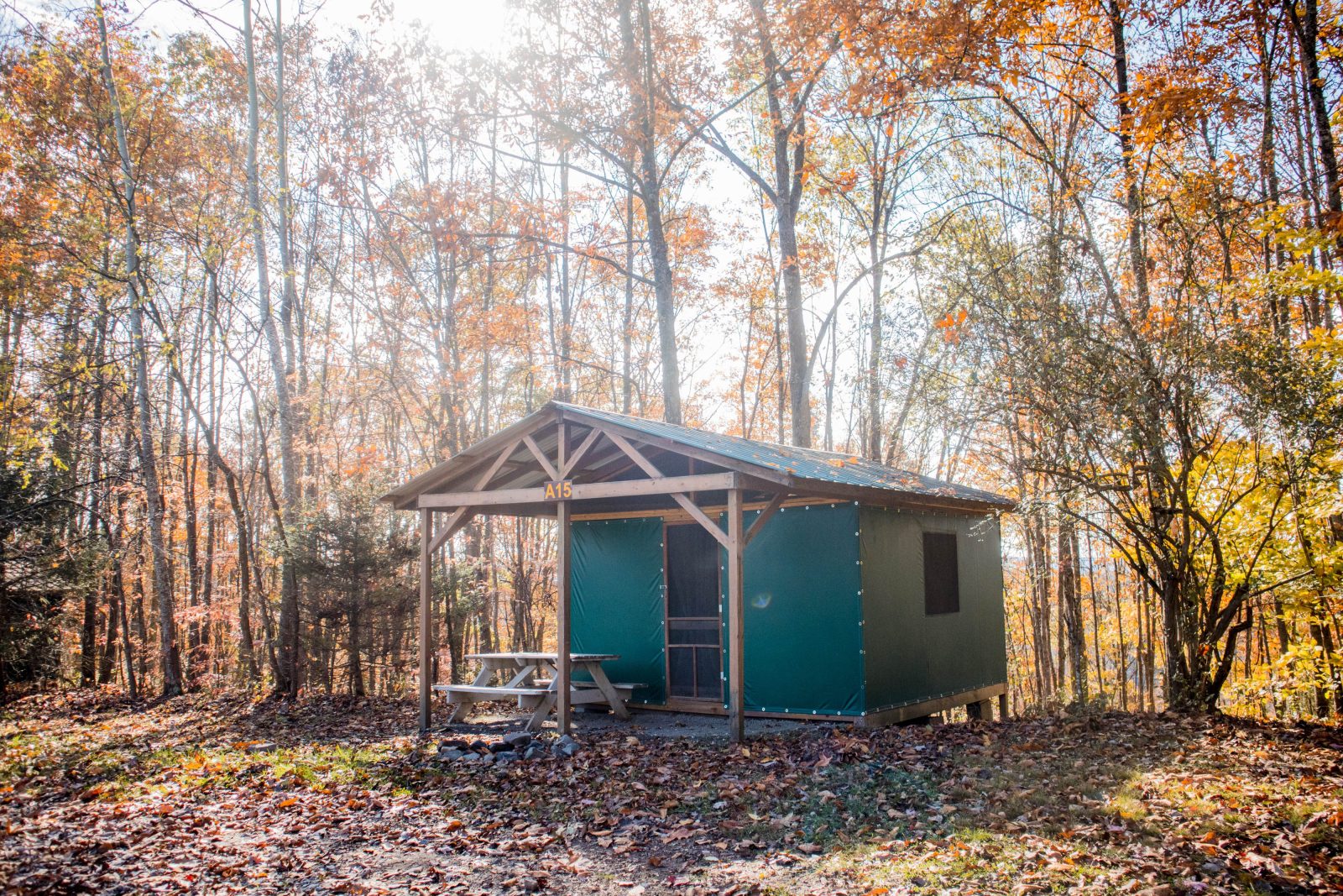Cabin Tent A15 - ACE Adventure Resort