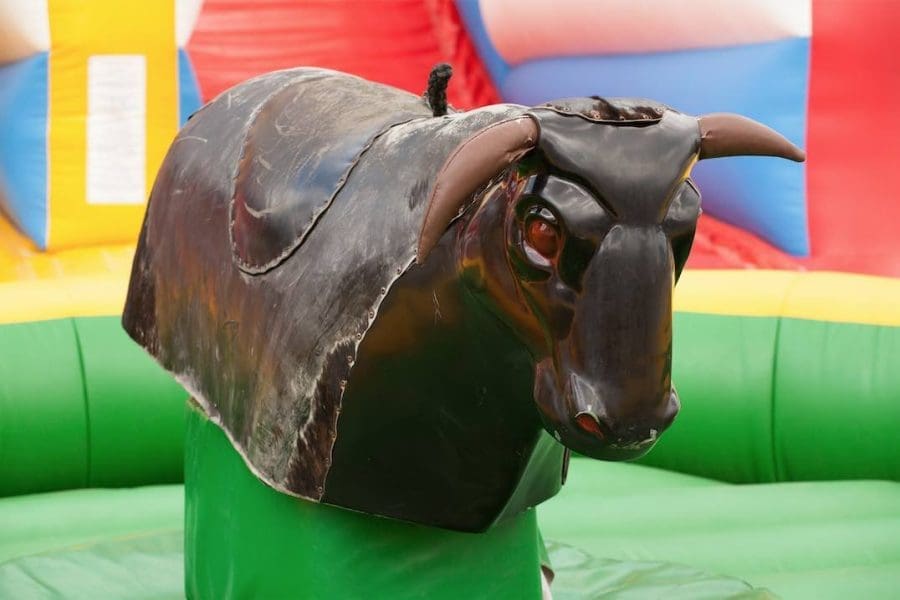 Mechanical Bull Riding 101 - ACE Adventure Resort